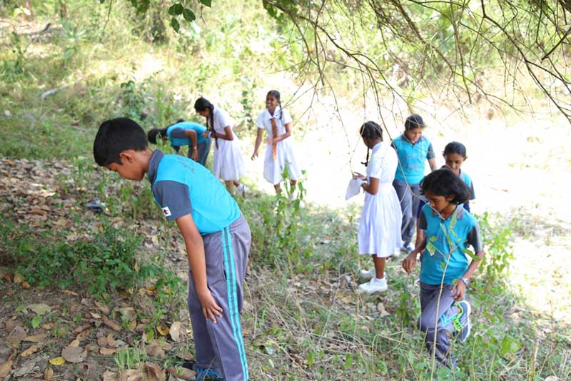 LEN - www.lankaenews.com | Incredible project from lyceum international school student ; 'Kidney ...