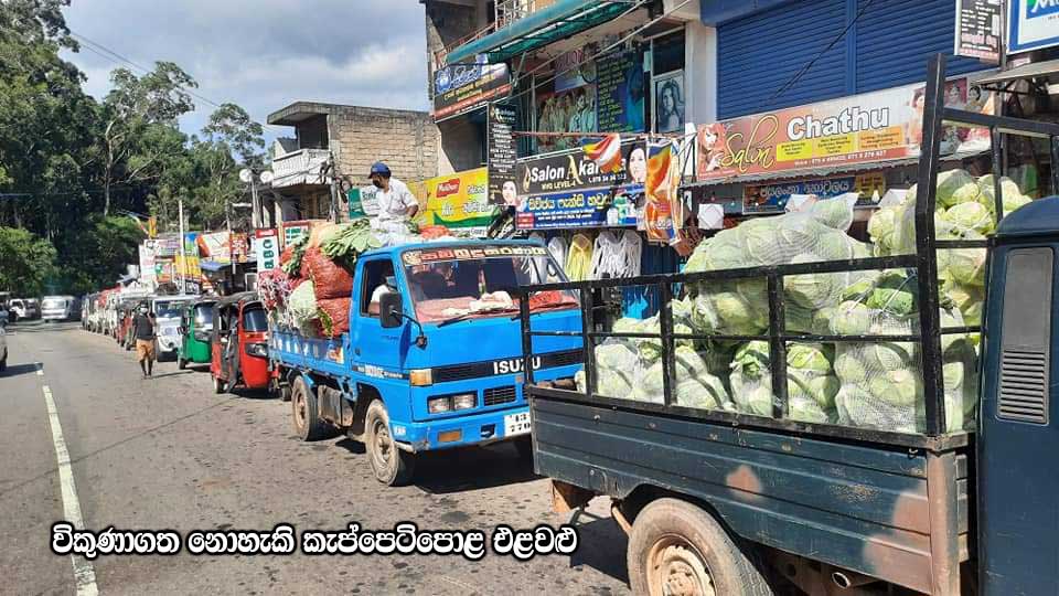 LEN - www.lankaenews.com | Keppetipola vegetables can not be sold for ...