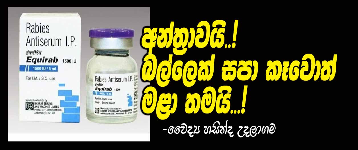 LEN - www.lankaenews.com | Danger..! If a dog bites, it is dead..!