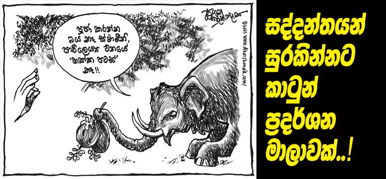 LEN - www.lankaenews.com | A series of cartoon shows to save the ...