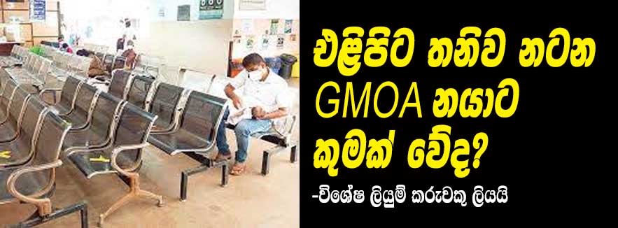 LEN - www.lankaenews.com | What happens to the GMOA snake that dances ...