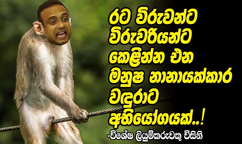 LEN - www.lankaenews.com | A challenge for Monkey Manusha, who is ...