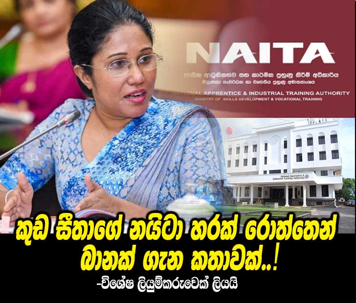 LEN - www.lankaenews.com | A story about an umbrella Sita's NAITA cow herd.