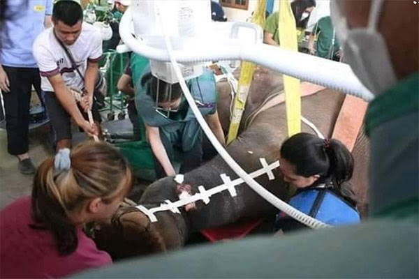 LEN - www.lankaenews.com | Did you see the superb Thai 'massage' that ...